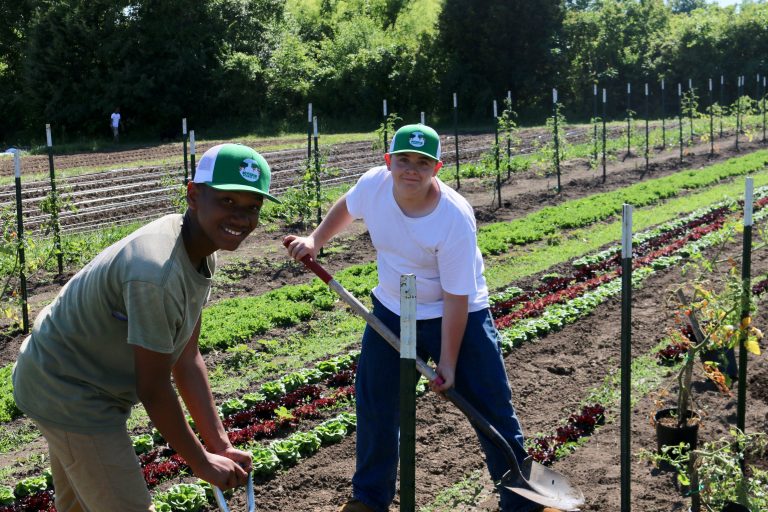 farm team - BoysGrow